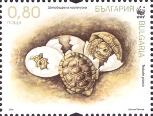 Stamp: Spur-thighed Tortoise (Testudo graeca) (Bulgaria) (Nature ...