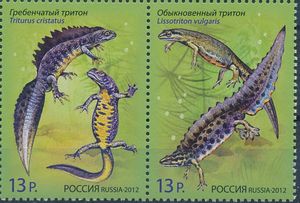 Stamp: Fauna - Newts (Russia(Joint issue of Russia and Belarus. Newts ...