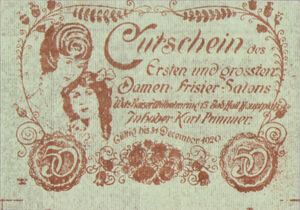 Banknote: 50 Heller (Österreichisches Notgeld(Wels) Jak:1169c-50 💴