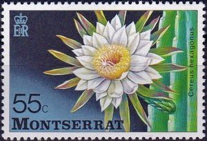 Stamp: Cereus hexagonus (Montserrat) (Flowers) Mi:MS 368,Sn:MS 368,Sg ...
