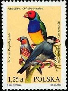 Stamp: Gouldian Finch, Sunda Zebra Finch and Java Sparrow (Poland(Birds ...