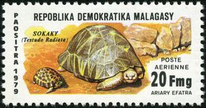 Stamp: Radiated Tortoise (Testudo radiata) (Madagascar) (Fauna 1979) Mi ...