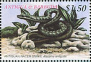 Stamp: Antiguan Racer Snake (Alsophis antiguae) (Antigua and Barbuda ...