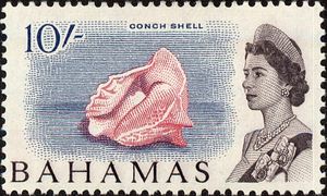 Stamp: Conch Shell (Bahamas(Definitives 1965) Mi:BS 222,Sn:BS 217,Yt:BS ...