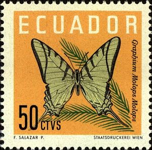 Stamp: Swallowtail (Graphium molops) (Ecuador) (Butterflies (1961)) Mi ...