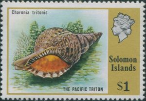 Stamp: Pacific Triton (Charonia tritonis) (Solomon Islands(Birds ...