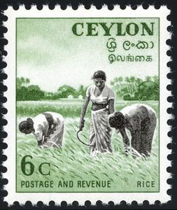 Stamp: Harvesting Rice (Ceylon(Local Motifs and Scenes) Mi:LK 267,Sn:LK ...