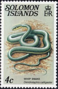 Stamp: Green Tree Snake (Dendrelaphis calligaster) (Solomon Islands ...