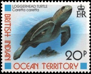 Stamp: Loggerhead Turtle (Caretta caretta) (British Indian Ocean ...