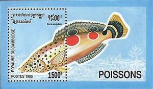 Briefmarke: Clown Coris (Coris angulata) (Kambodscha(Fish (1995)) Mi:KH ...