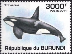 Stamp: Killer Whale (Orcinus orca) (Burundi(Whales (2011)) Mi:BI 2040 ...
