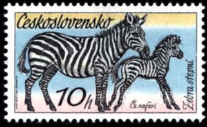 Stamp: Plains Zebra (Equus quagga) and Foal (Czechoslovakia(Dvurkralove ...