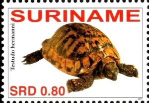 Stamp: Testudo hermanni (Suriname) (Reptiles) Mi:SR 2111,Yt:SR 1876,Sg ...