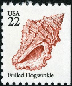 Stamp: Frilled Dogwinkle (Nucella lamellosa) (United States of America ...