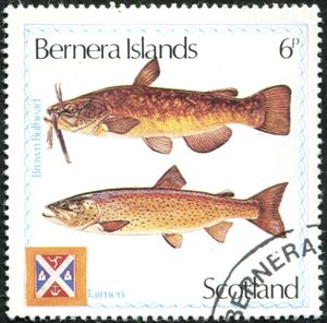 Stamp: Trout, Brown Bulhead (Scotland, Bernera Island: Cinderella ...