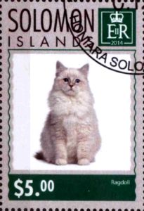 Stamp: Ragdoll (Solomon Islands(Cats (2014.1)) Mi:SB 2954