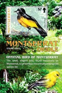 Stamp: Montserrat Oriole (Icterus oberi) (Montserrat(Birds of ...