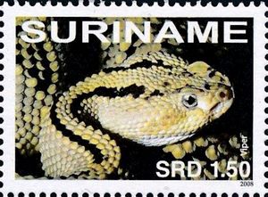 Stamp: Vipera sp. (Suriname(Snakes) Mi:SR 2222,Yt:SR 1986,Sg:SR 2336