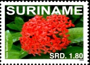 Stamp: Ixora "Bonnie Lynn" (Suriname(Flora) Mi:SR 2255,Sn:SR 1379b,Yt ...