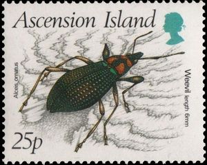 Stamp: Weevil (Alceis ornatus) (Ascension Island(Insects) Mi:AC 486,Sn ...