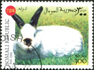 Stamp: Rabbits Chinese Lunar Year (Somalia: Illegal Stamps(Chinese ...