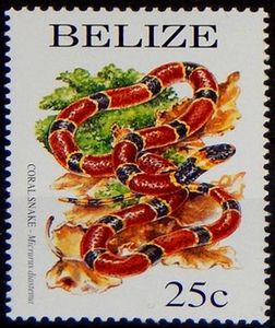 Stamp: Coral Snake (Micrurus diastema) (Belize(Snakes) Mi:BZ 1178,Sn:BZ ...
