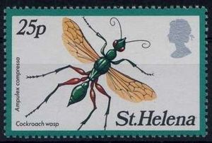 Stamp: Cockroach wasp (Ampulex compressa) (Saint Helena(Insects) Mi:SH ...