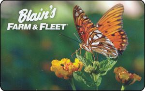 Gift Card: Butterflies (Blain's Farm & Fleet, United States of America ...