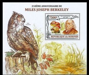 Stamp: Miles Joseph Berkeley, fungi (Burundi(The 210th Anniversary of ...