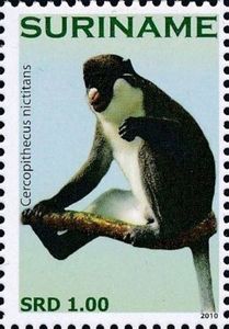 Stamp: Spot-nosed Monkey (Cercopithecus nictitans) (see Description ...