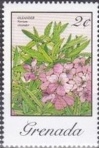 Stamp: Oleander (Nerium oleander) (Grenada(Island Flowers) Mi:GD 1374CI ...