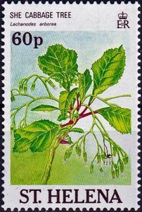 Stamp: She cabbage tree (Lachanodes arborea) (Saint Helena(Rare Plants ...
