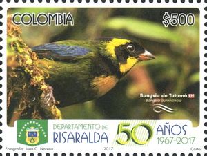 Stamp: Gold-ringed Tanager (Bangsia aureocincta) (Colombia(Departments ...
