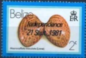 Stamp: Calico Clam (Macrocallista maculata) - Overprinted (Belize ...