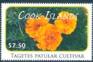 Stamp: Tagetes patular cultivar (Cook Islands(Flora) Mi:CK 1633,Sn:CK ...