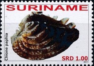 Stamp: Chione paphia (Suriname(Shells) Mi:SR 2448,Yt:SR 2198,Sg:SR 2524