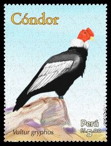 Stamp: Andean Condor (Vultur gryphus) (PeruYt:PE 2101,WAD:PE046.17