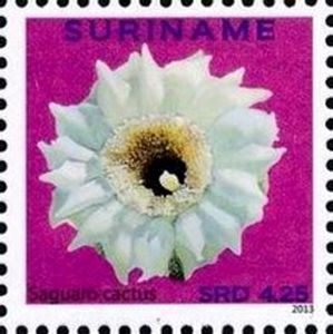 Stamp: Saguaro cactus (Suriname) (Flowers) Mi:SR 2642,Yt:SR 2378,Sg:SR 2691