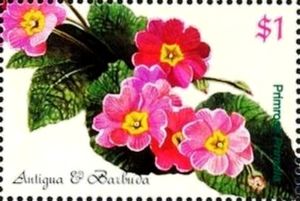 Stamp: Primrose (Antigua and Barbuda) (Flowers of the world) Mi:AG 2903 ...