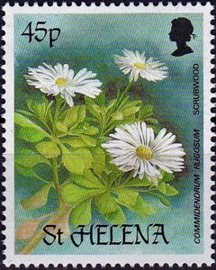 Stamp: Scrubwood (Commidendrum rugosum) (Saint Helena(Rare Plants) Mi ...
