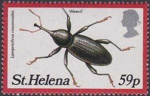 Stamp: Weevil (Lamprochrus cossonoides) (Saint Helena(Insects) Mi:SH ...