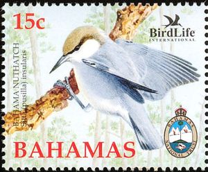 Stamp: Bahama Nuthatch (Sitta pusilla insularis) (Bahamas(BirdLife ...