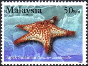 Stamp: Knobby Starfish (Oreaster occidentalis) (Malaysia(Stamp Week ...