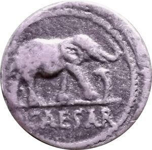 Token: The Elephant Denarius of Julius Caesar /WRL (United Kingdom of ...