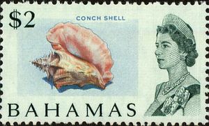 Stamp: Conch Shell (Bahamas(Decimal Currency) Mi:BS 270x,Sn:BS 265,Yt ...