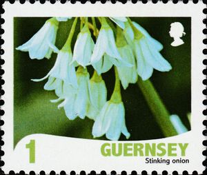 Stamp: Stinking Onion - Allium triquetrum (Guernsey(Wild flowers ...