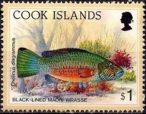 Stamp: Black-Lined Maori Wrasse (Cheilinus diagrammus) (Cook Islands ...