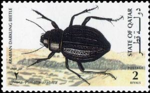 Stamp: Arabian Darkling Beetle (Pimelia arabica) (Qatar(Native insects ...