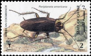 Stamp: American Cockroach (Periplaneta americana) (Qatar) (Native ...