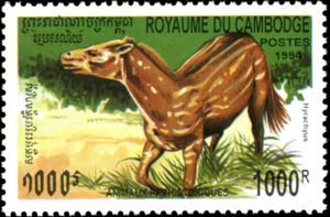 Stamp: Hyrachyus (Cambodia(Prehistoric Animals) Mi:KH 1439,Sn:KH 1363 ...